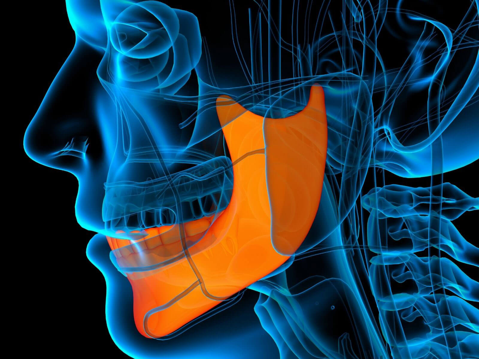 Understanding The Importance of Dental X-Rays